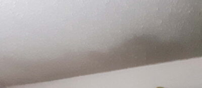 Bathroom Mold | How to Identify and Get Rid of Mold in Bathroom - Environix