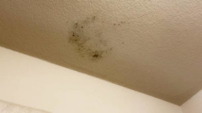 Ceiling Mold Growth | Learn the Cause and How to Prevent it - Environix