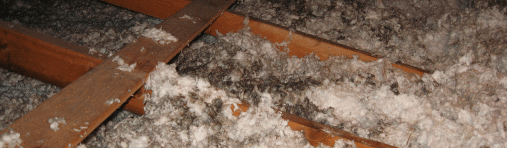 Black Mold On Insulation