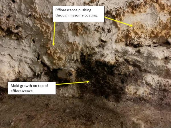 Identifing Efflorescence and Mold Growth - Environix
