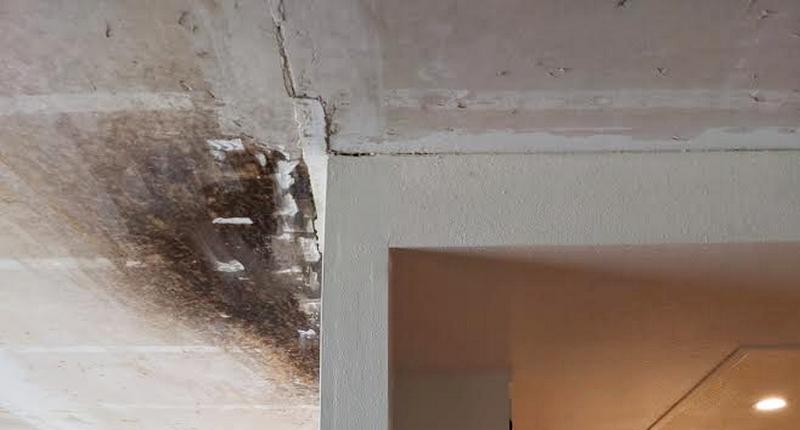 Ceiling Mold Growth | Learn the Cause and How to Prevent it - Environix