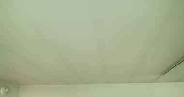 Interior Mold Growth | Remediation and Total Prevention - Environix