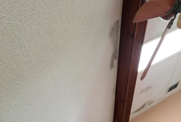 Ghosting or Mold | The Difference & Prevention Strategies - Environix