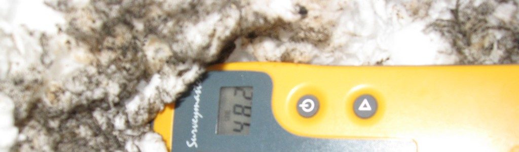 Mold on Attic Insulation - Environix