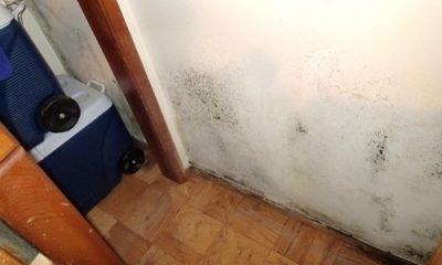 Humidity & Mold Growth | Environix