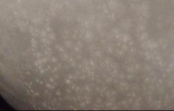 Mold on Furniture | The Causes and Prevention Methods - Environix