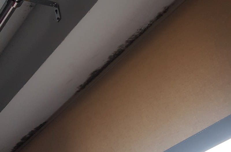 Ceiling Mold Growth | Learn the Cause and How to Prevent it - Environix