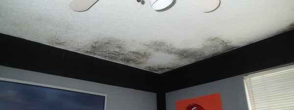 Humidity & Mold Growth | Environix