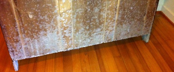 Humidity & Mold Growth | Environix