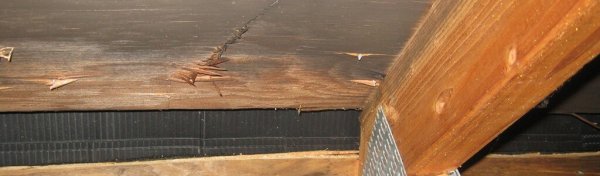 Mold on Attic Roof Sheathing | What it is and How to Remove it - Environix