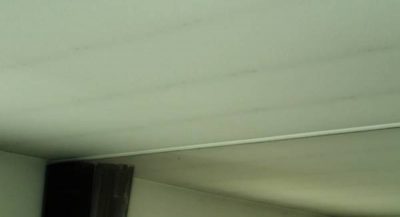 Ceiling Mold Growth | Learn the Cause and How to Prevent it - Environix