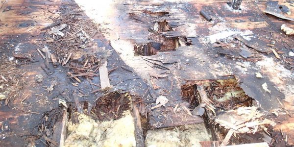 Unventilated and Condition Attics - Environix