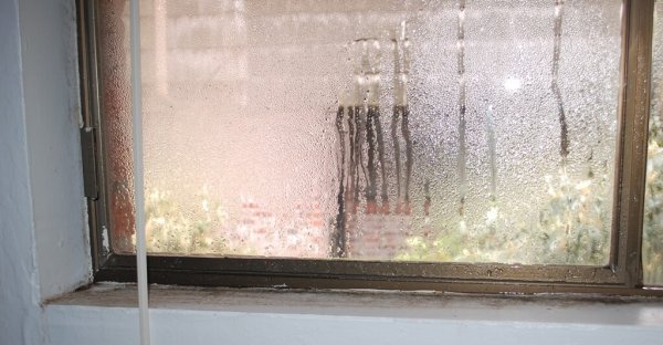 Mold Growth on Windows | Causes and Solutions - Environix