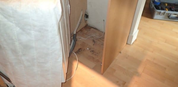 Kitchen Mold | How to Prevent and Get Rid of Mold in Your Kitchen