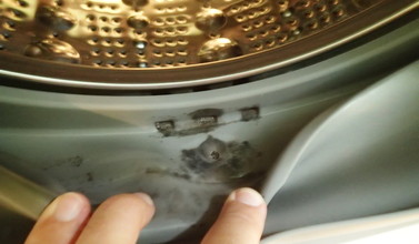 Laundry Room Mold - Environix